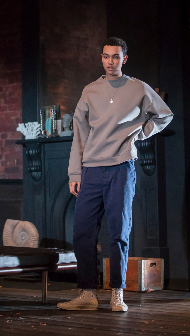 The Goat, or Who Is Sylvia?, Theatre Royal Haymarket review - 'Damian ...