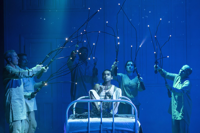 Life of Pi, Wyndham's Theatre review - visually ravishing show uplifted ...