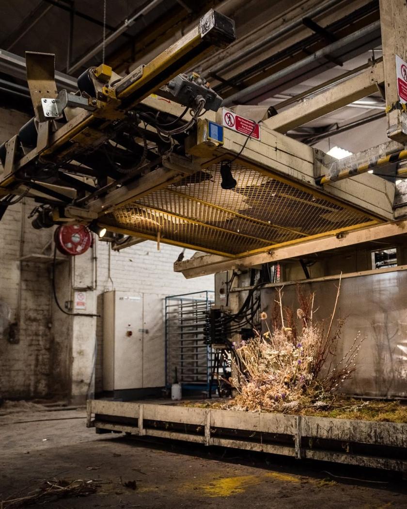 Hidden Door Festival 2026, The Paper Factory, Edinburgh Review - one ...