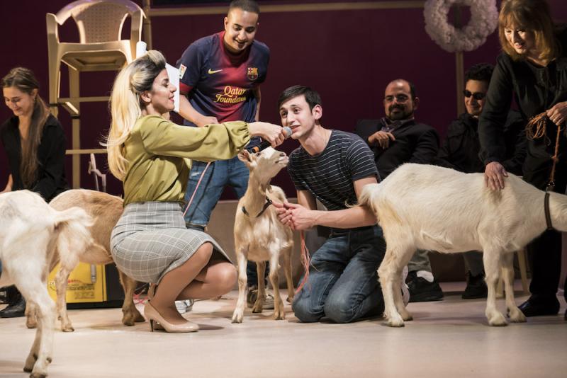 Goats, Royal Court – The Play's The Thing UK
